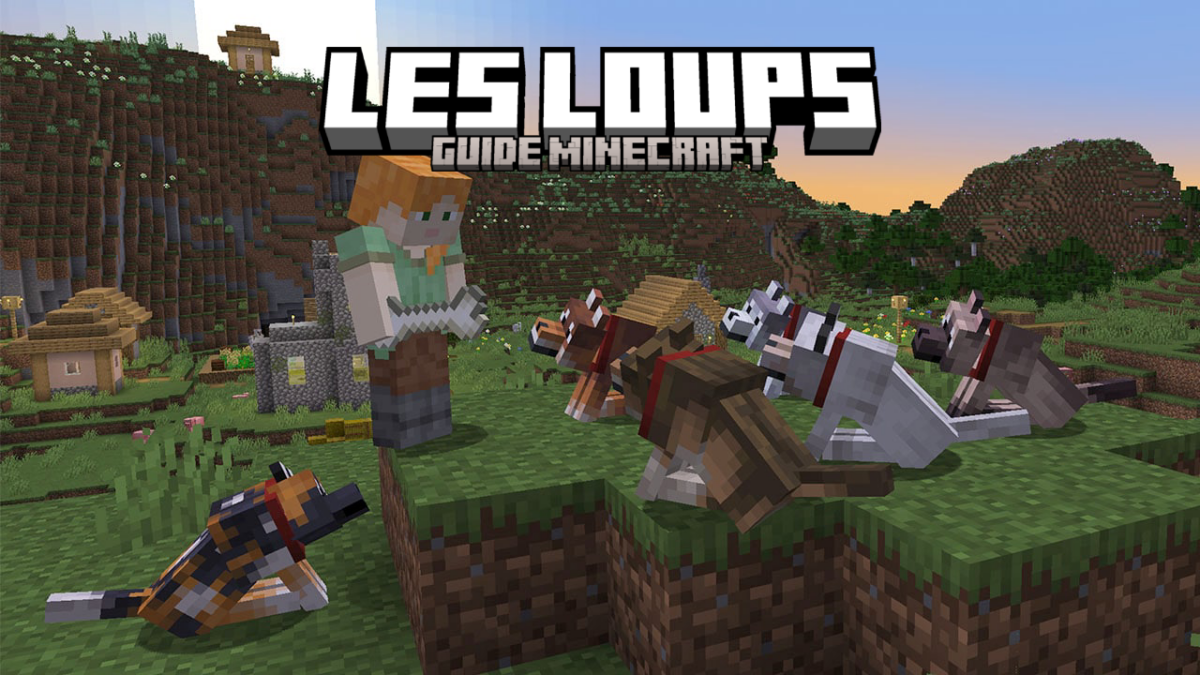Le loup dans Minecraft : Guide Complet - Minecraft-France