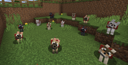 Le loup dans Minecraft : Guide Complet - Minecraft-France