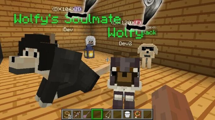 Mod : Doggy Talents Next (1.18.2 à 1.21.11)