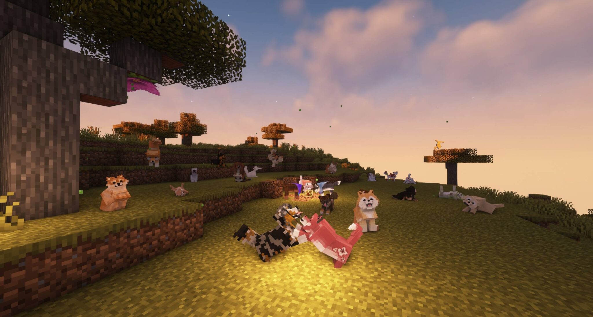 Mod : Doggy Talents Next (1.18.2 à 1.21.7)