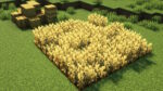 [Resource Pack] Fancy Crops [1.15 - 1.21] - Minecraft-France