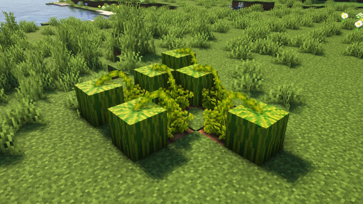 [Resource Pack] Fancy Crops [1.15 - 1.21] - Minecraft-France