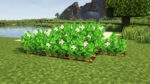 [Resource Pack] Fancy Crops [1.15 - 1.21] - Minecraft-France