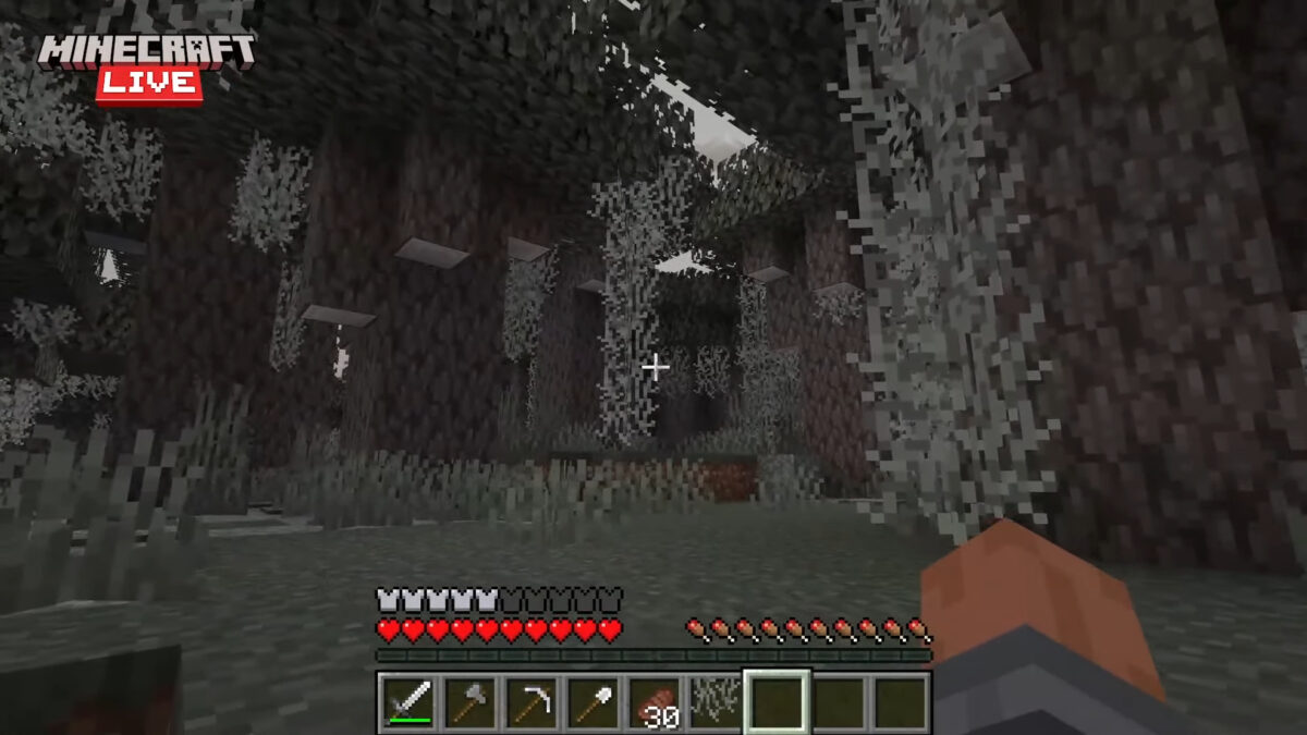 Minecraft Live 2024 : Toutes les annonces - Minecraft-France