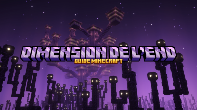 L'End : Dimension Minecraft - Minecraft-France