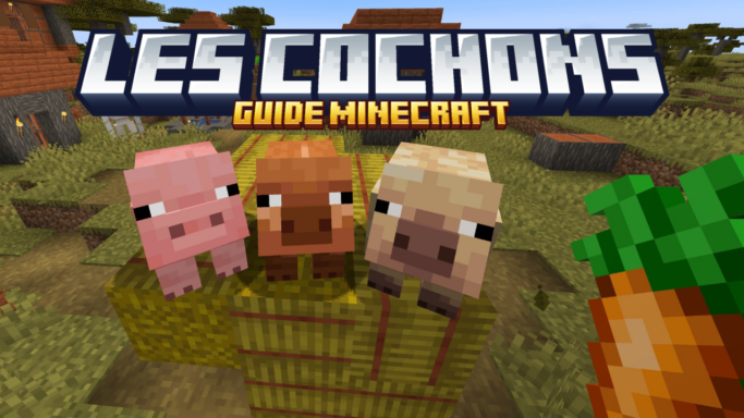 Tout savoir à propos du cochon dans Minecraft - Minecraft-France