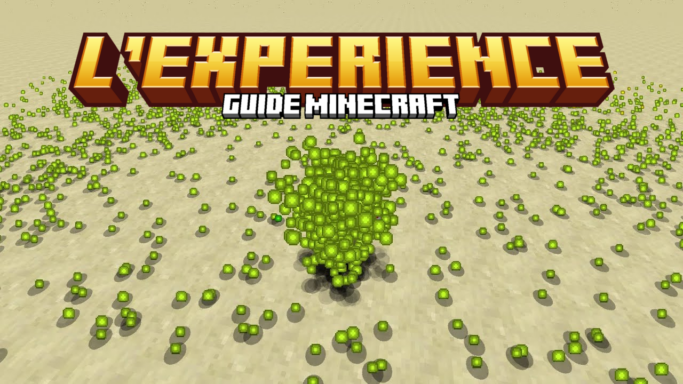 L'Expérience dans Minecraft : Guide Complet - Minecraft-France