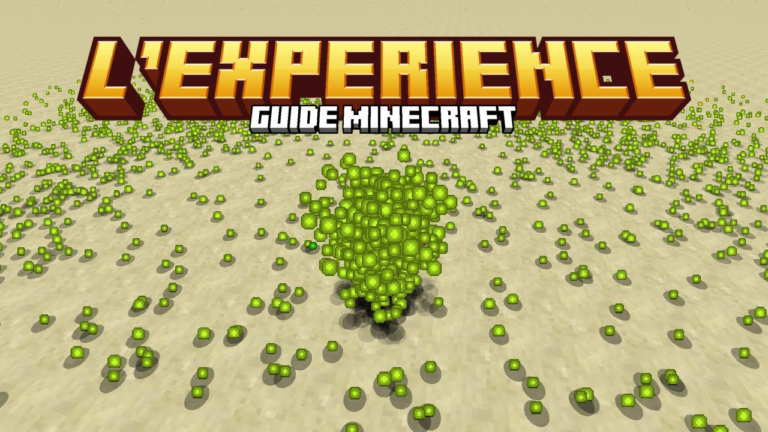 L'Expérience dans Minecraft : Guide Complet - Minecraft-France