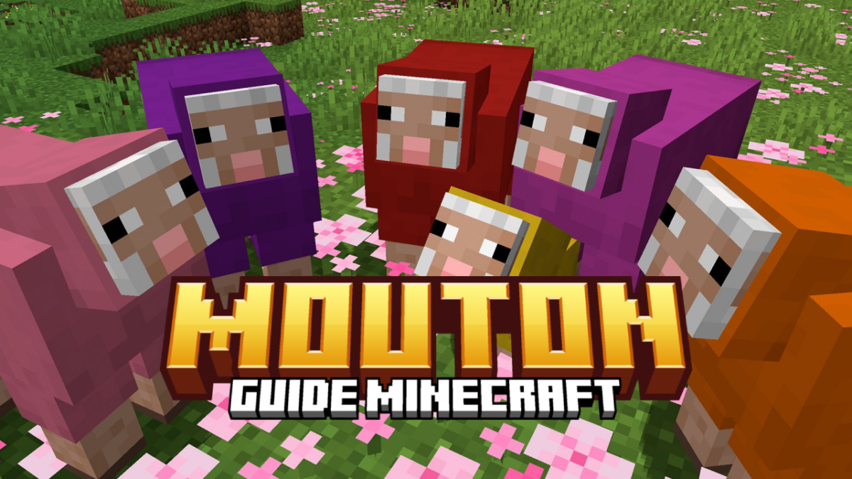 Chat Minecraft : Guide Complet - Minecraft-France