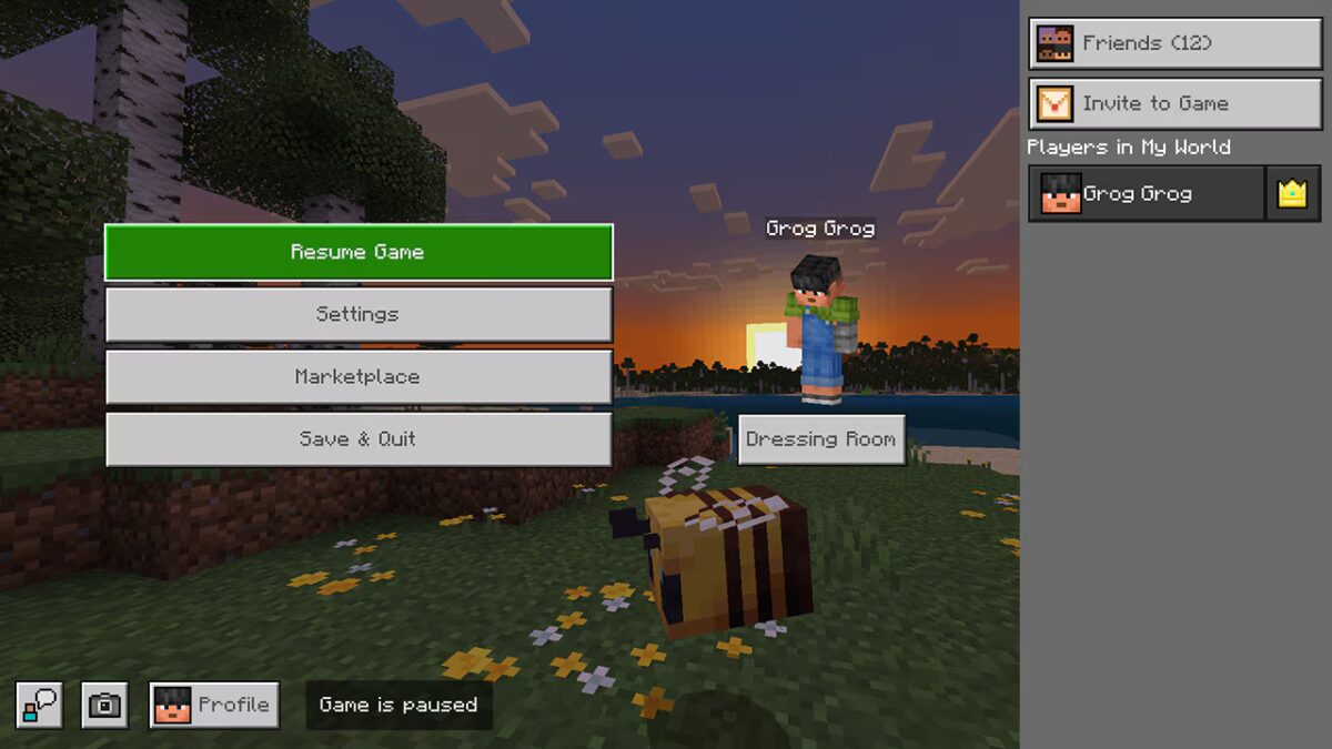 Pause dans Minecraft Bedrock Edition : c’est enfin possible ...