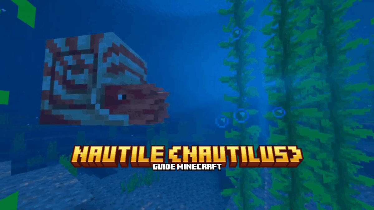 Coquille de nautile dans Minecraft : comment l’obtenir et à quoi elle ...